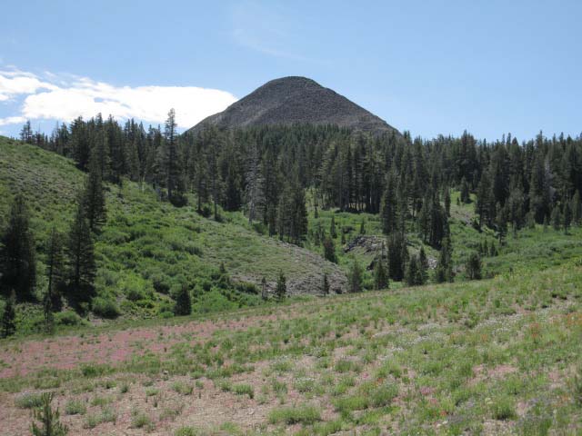Tyron Peak to Murray Canyon: Hiking Carson-Iceberg Wilderness