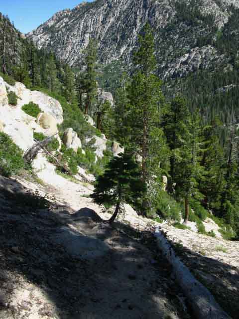 Boulder Lake to East Carson River Trail on the Pacific Crest Trail