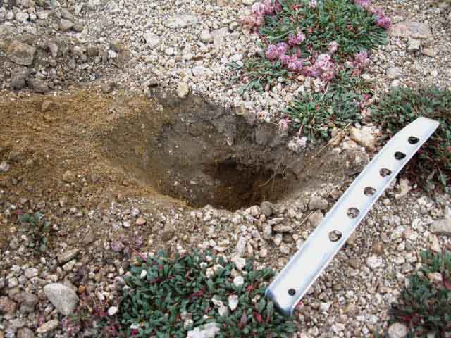 Trail Skills for Backpacking & Camping: High Sierra Nevada